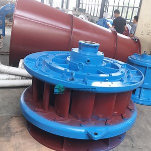 Hydraulic Propeller Turbine 100kW Kaplan Turbine Generator for Low Head HPP