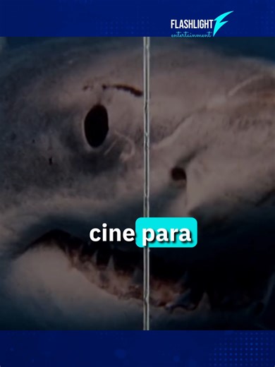 El tiburón de Jaws no funcionaba 🦈 Spielberg lo ocultó… y creó el suspenso moderno 🎬 El miedo vive en lo que no ves. #Tiburon #Jaws #StevenSpielberg #HistoriaDelCine #Suspenso #CineClásico #CuriosidadesDelCine #FlashlightEntertainment
