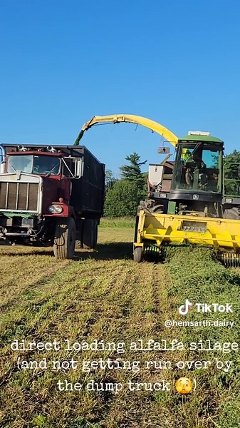 Alfalfa Silage Harvesting Before the Storm