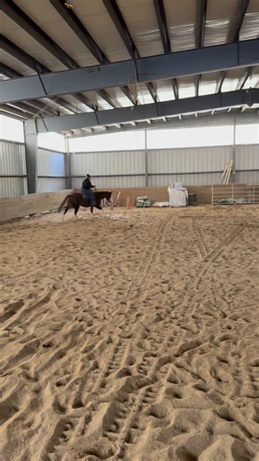 From first lesson jitters to sliding stops—proud moment! | Jones Performance Horses