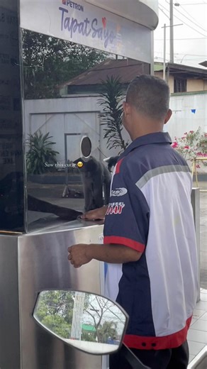 Adorable Cats That Will Melt Your Heart