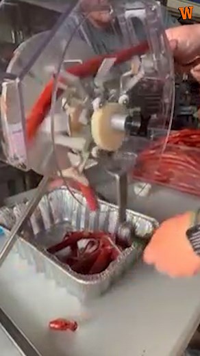 Check out the Z-Linker Sausage Linker in action in a home processing setup! #meatprocessing #satisfyingvideo #sausage | Walton's Inc
