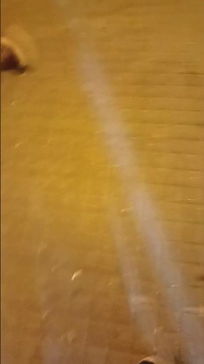 defensas infantil la defensa de la cama