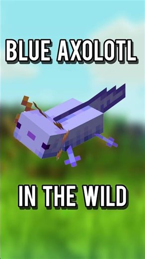 Bet You’ve Never Seen These Mobs. #minecraft #minecraftshorts