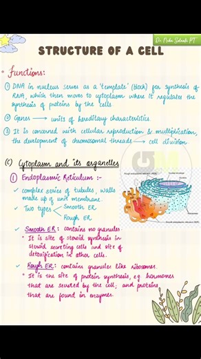 Physiology | Cell Morphology & Organelles