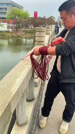 Catfish hunting with cast net fishing technique #fishing #fish #catch