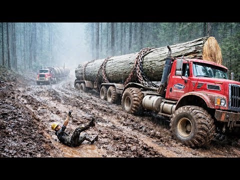 Insane Logging Truck Skills & Brutal Chainsaw Tree Cutting | Forestry at the Edge