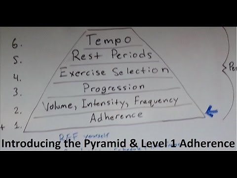 Muscle and Strength Training Pyramid Level 1 and intro