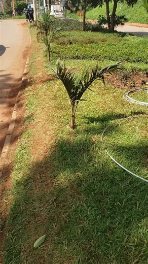 Ffe abasinga mu gunno omulimo,,,we can corporate for business #fyp #foryou #foryoupage #viral #engineering @ENG ASHIM @ENG Obadiah official @D-LIGHT ELECTRICAL SOLUTIONS @Eng. Emma(EKA'S electronics) @MASEREKA JOSEPHAT JUBILANT @ENG IVAN @jaaja mwami @meddiek8 @Electrical technician. @mubiru.ibrahim1 @BAGUMA @Dady wa mammy no1 @Engineer Roberto @engineer mwesigwa @higho @haruna row @Jemo308 @Mulefu John