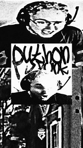 70K views · 2.6K reactions | python ️| Original vs FUNK ️ #python #phonkmusic #music_phonk #slowedandreverb #lyricsvideo #trend #bassboosted #headphones #originalvsfunk #slowedsongs #funk .MOV | Push Music Songs | Facebook