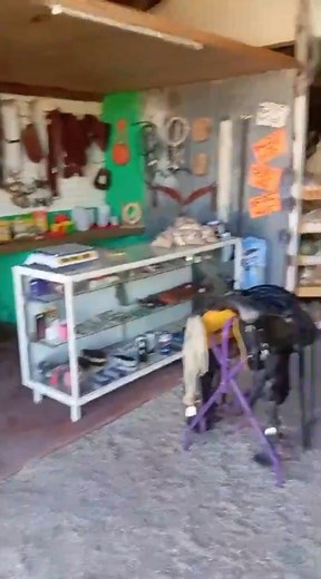 📣📣📣Pasele por su saco o por su kilo de frijol pinto bien bueno y limpio👌👌 Y sobre todo a muy buen precio 💲💲💰🤠 Aquí lo tenemos con tus amigos de Campiada Agro Insumos te esperamos !!! 📍📍Estamos ubicados en carretera federal y ave 1ra industrial a un costado de agencia dodge Chrysler 🚙🚗🤠 📲 6333355992 Agua prieta sonora ⛰️ | Campiada Agro Insumos