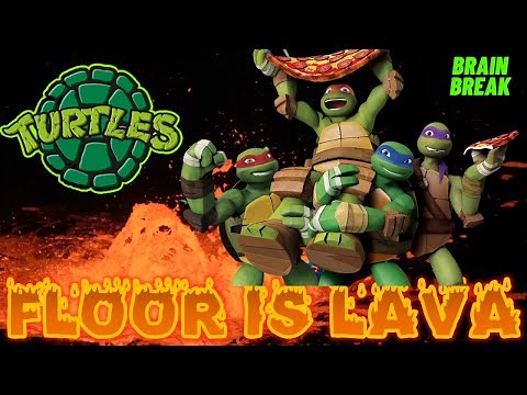 TURTLES FLOOR IS LAVA | EXERCISE BRAIN BREAK FOR KIDS | KIDS VIDEOS FOR KIDS