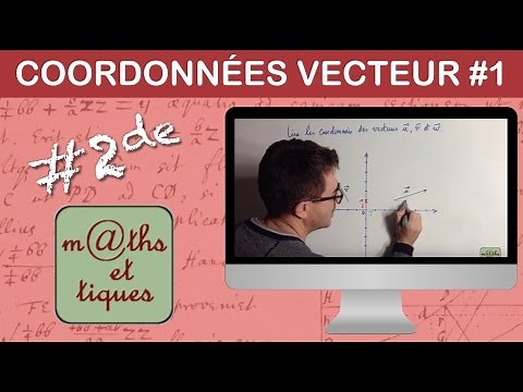 Lire les coordonnées d'un vecteur - Seconde