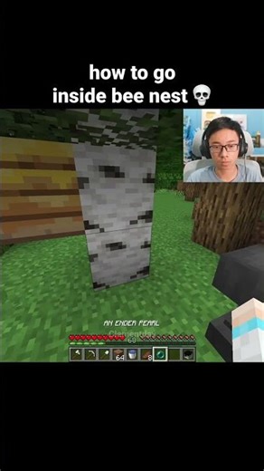 Minecraft Bee Nest Dimension Moment