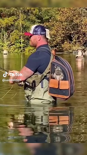 Headbanging Bulldogs: Cute Puppy Listening to Metal Music