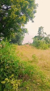 Pyar humara rab Jane ♥️♥️♥️ . . #highlightseveryone #lakhicharanswansi #reels #vrail #tranding #Vill #Dil #pyar | Lakhicharan Swansi