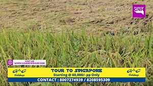 9.4K views · 63 reactions | Goa Rains | Farmers Suffer Losses Heavy rainfall over the past week has severely affected farmers across Goa. In Sal village, vast farmlands are completely submerged, leaving farmers worried as their hard-earned crops lie underwater. #Goa #Farmers #RainDamage #Agriculture | Goa News Hub | Facebook