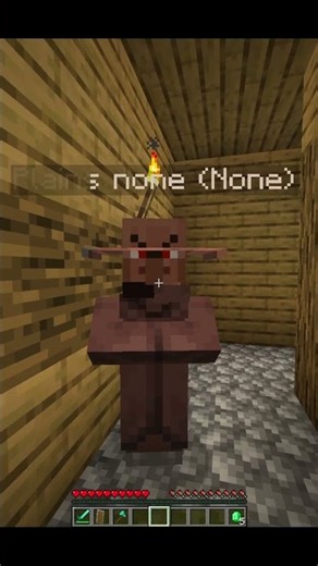 Minecraft He got a little Angry💀