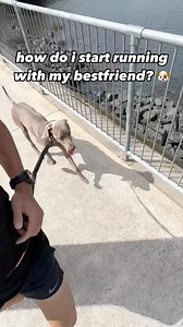 1.6K views · 11 reactions | Are you and your canine first time...