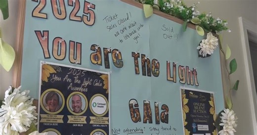 First Step Gala raising awareness for domestic violence, dire need for funding