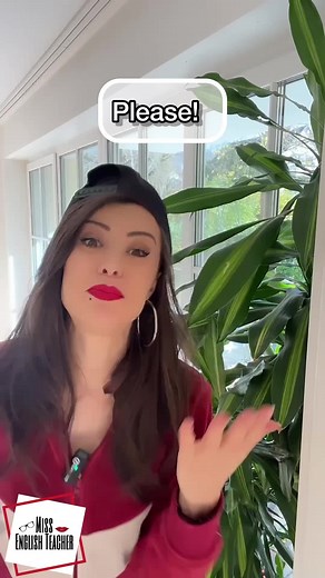 English Language Rule: Everybody Has or Have?