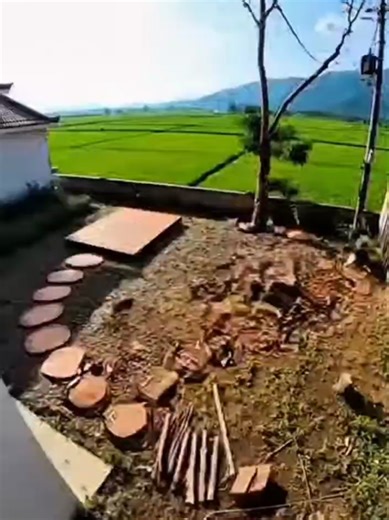 From empty space to a dream garden! 🏡✨ The result is so satisfying. 😍 #homemakeover #gardendesign #transformation #diygarden #outdoorliving