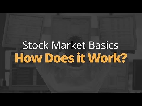 Stock Market Basics - How the Stock Market Works