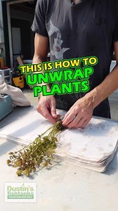 19K views · 114 reactions | HOW TO Unwrap or Unbind your aquarium plants from Dustin's FishTanks! Did this work for you? How do you plant your plants? Follow along for more tips and tricks! Shop Now! TANK ON! Follow us! @DustinsFishTanks https://linktr.ee/dustinsfishtanks #advice #aquarium #fishtank #aquascape | Dustin's Fishtanks | Facebook