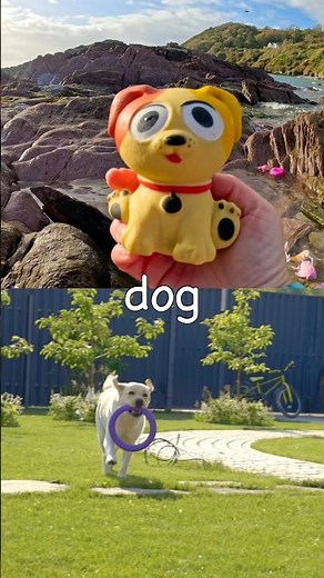 Kids Learn | Animal Names at the Rock Pool: Duck Rhino Lion Cougar Dog