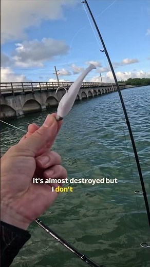 how to EASILY catch snappers for dinner like a PRO