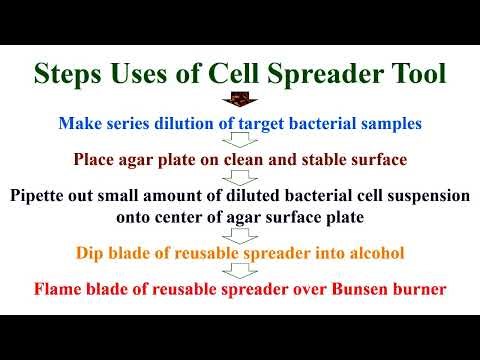 Steps of Cell Spreader Tool