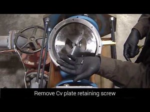 Changing the Piston Assembly - 2" & 3" DeltaPValves