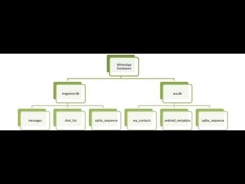 Laboratorio Pratico: Manipolazione e Iniezione Database WhatsApp (Bypass Android FBE)