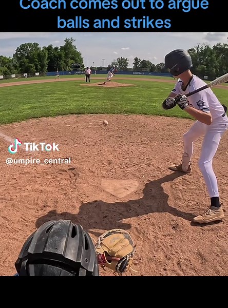 Baseball Umpire Dispute: Coach Argues Calls