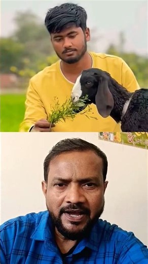 Top Learning Tools for Tech Enthusiasts#shorts #shortsfeed #viralshorts