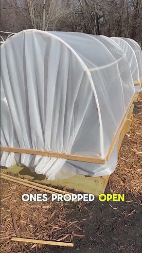 It’s Really Windy!! How Do These DIY Hoop Houses Hold Up?