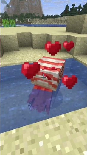 How to tame a Nautilus in Minecraft #minecraft
