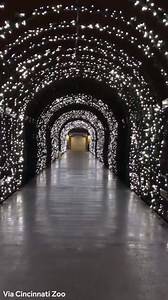 12K views · 576 reactions | SNEAK PEEK AT FESTIVAL OF LIGHTS! ✨ The Cincinnati holiday tradition opens next weekend: Here's what's new in 2019: https://bit.ly/2PXGdmC | WLWT | Facebook