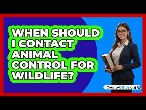 When Should I Contact Animal Control For Wildlife?