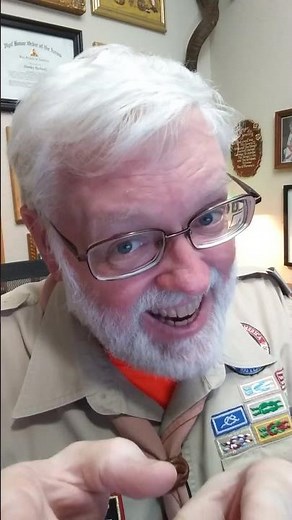 10 Forgotten Scout Skills You Must Know