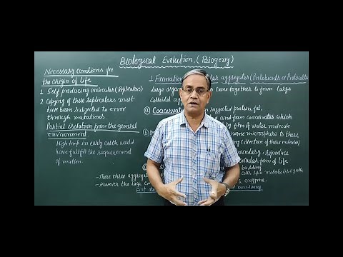 Biological Evolution (Biogeny)