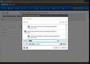 SAP Screen Personas - How to handle error popups