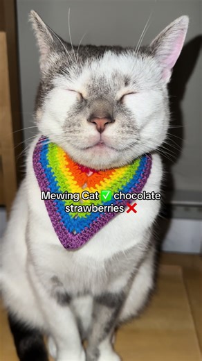 Mewing Cat: Exploring the Art of Cat Mewing