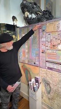 A Correlated History of the Universe Sale, With Paul Janke! #museum #shorts #paleontology #geology