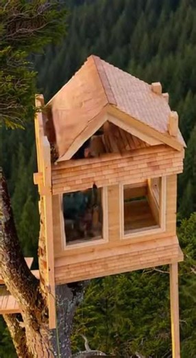 Don't look down! 🫣🌲 Highest Cabin Build #Shorts