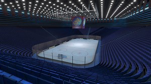 VR Ice Hockey Stadium - 3D model by Leandro Nicolas (@LeandroN)
