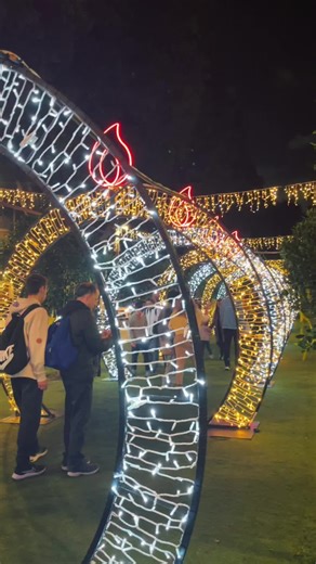 With our cities wrapped in glowing lights and holiday warmth, moments like these remind us why this season feels so special✨