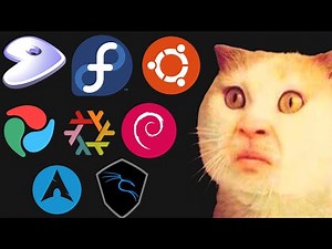 What your LINUX DISTRO says about you??