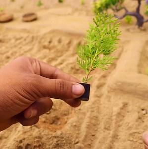 Tiny Tractor Trolley for Mini Farming Model 🚜🌱 #MiniWorld #MiniBuild #construction #fblifestyle | Mini Village
