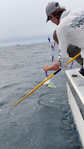 Angler Management Fishing Charters on Reels